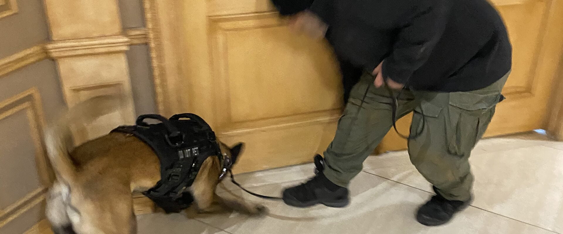 ScentWorks K9: Bomb Dogs, Drug Dogs & Scent Detection K9s