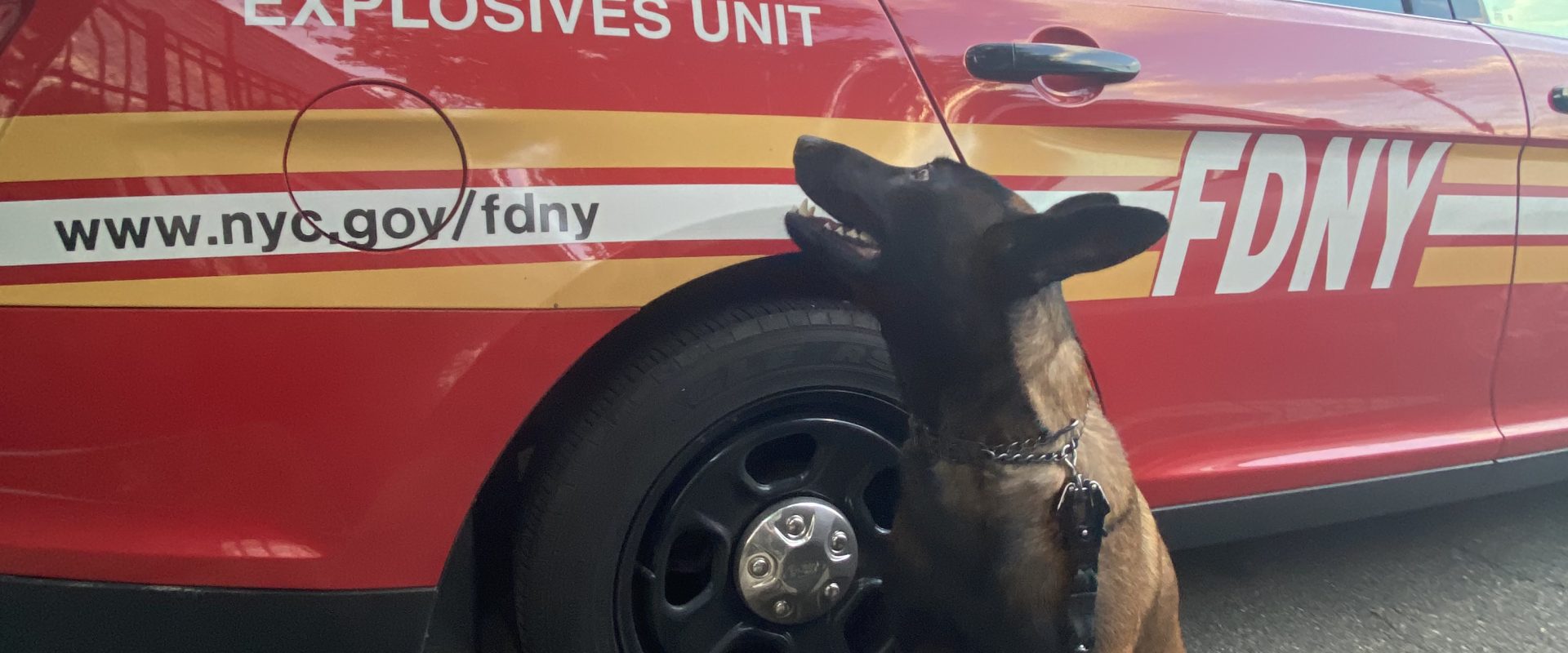 ScentWorks K9: Bomb Dogs, Drug Dogs & Scent Detection K9s