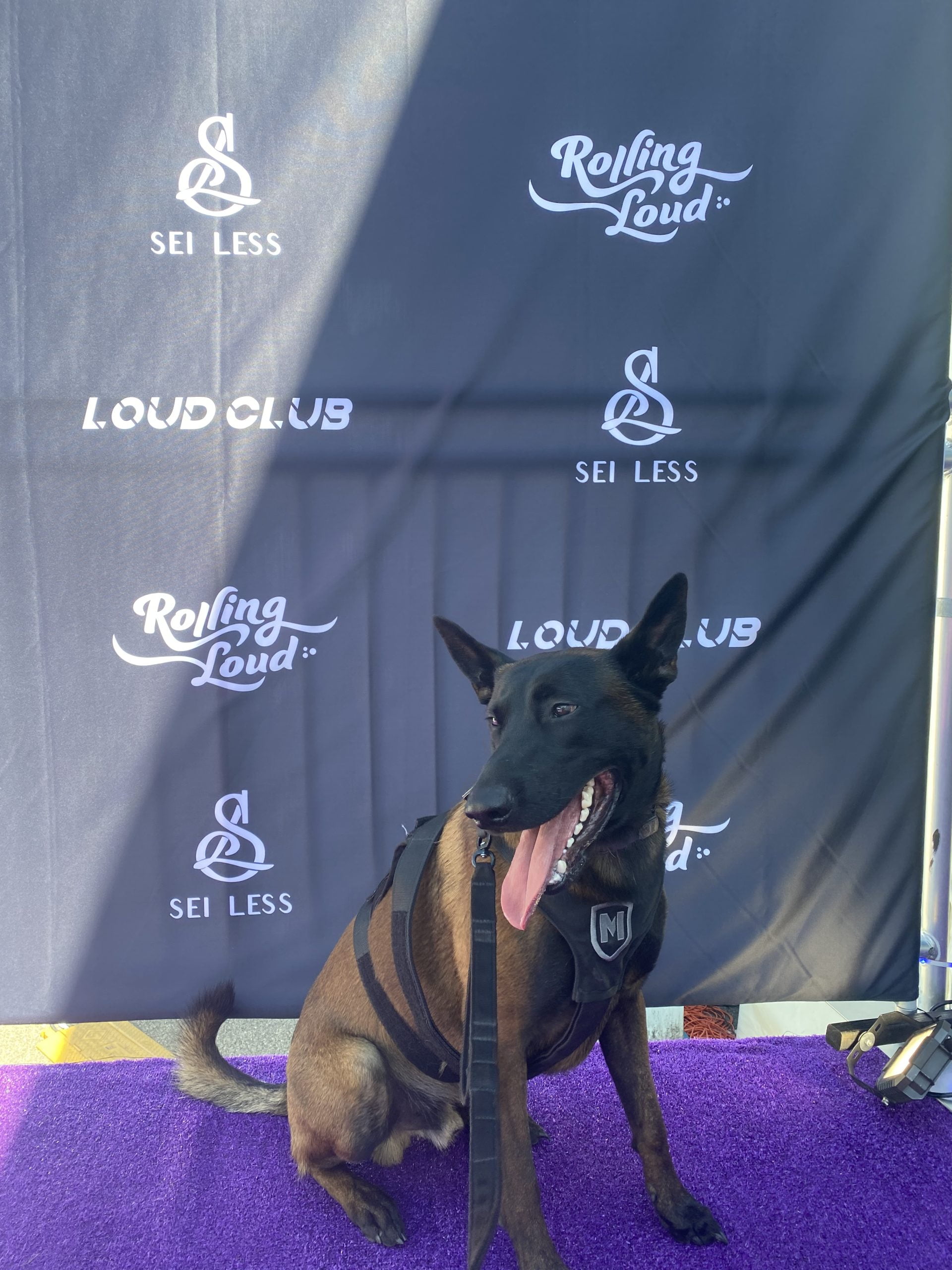 Narcotic Detection - ScentWorks K9