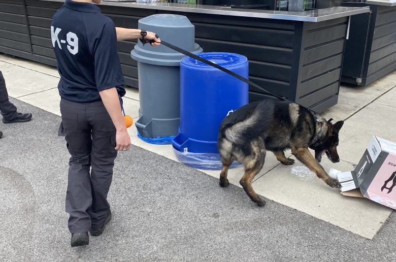 Narcotics Detection Dogs - ScentWorks K9