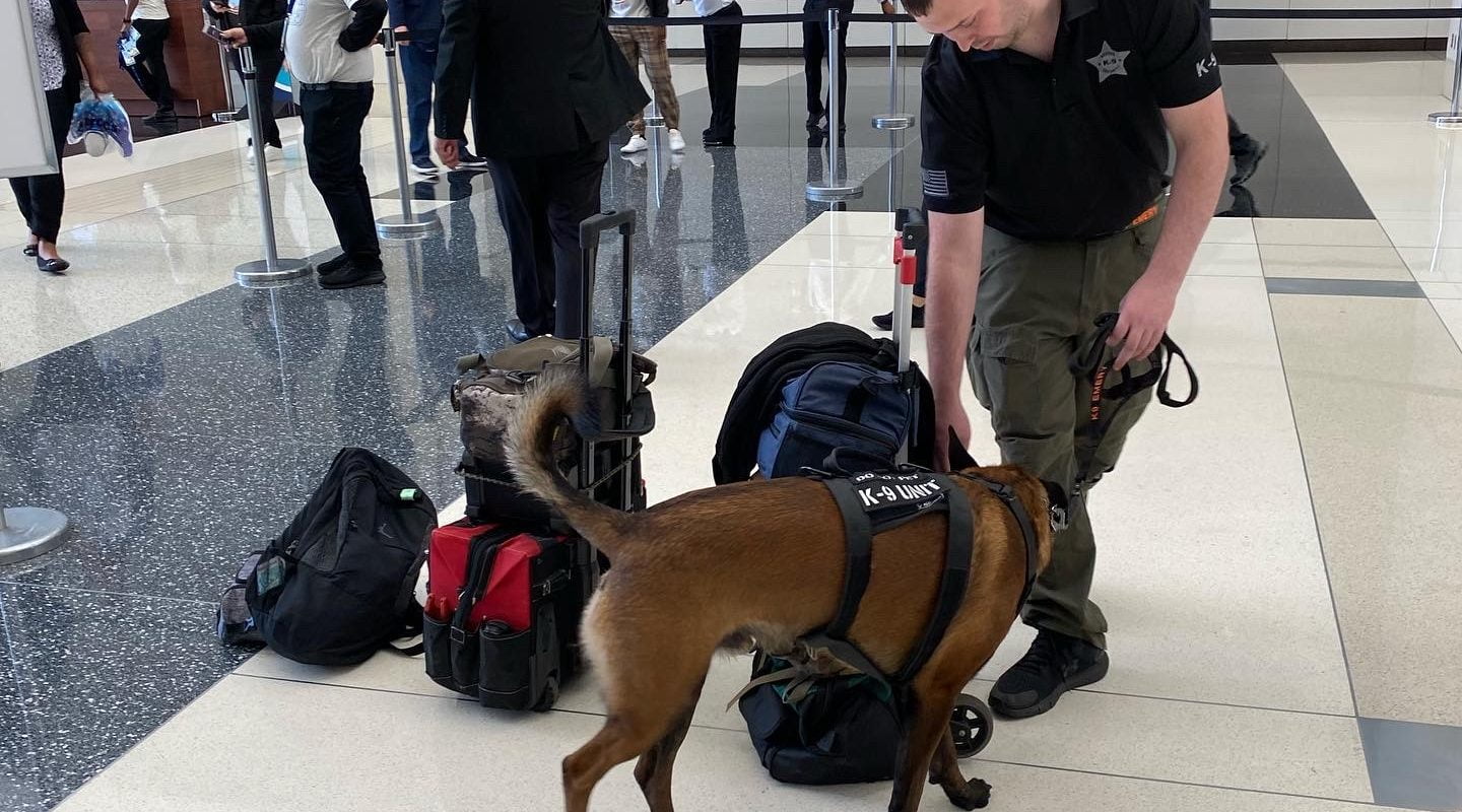 ScentWorks K9: Bomb Dogs, Drug Dogs & Scent Detection K9s